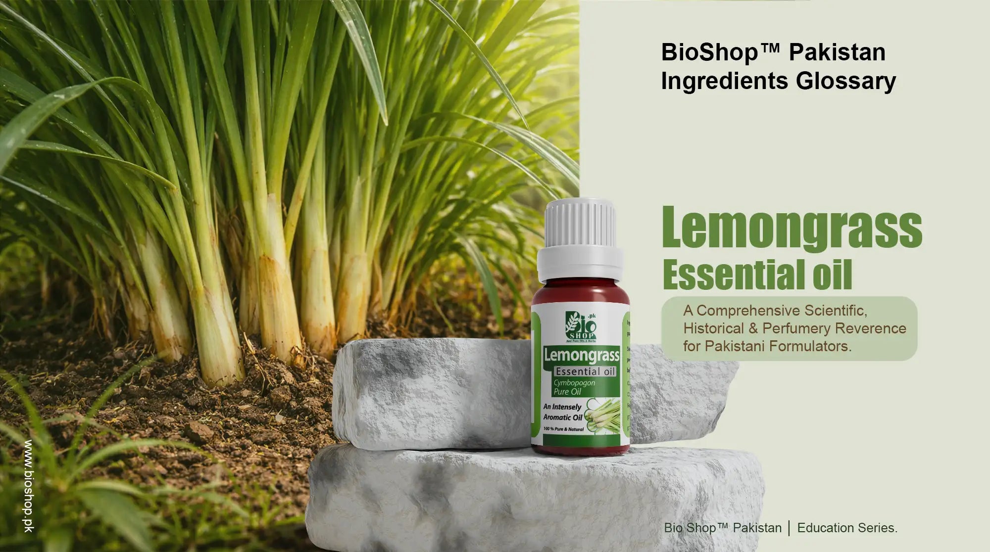 Lem­ongrass Essen­tial Oil Guide | Chemistry & Uses – BioShop™ Pakistan