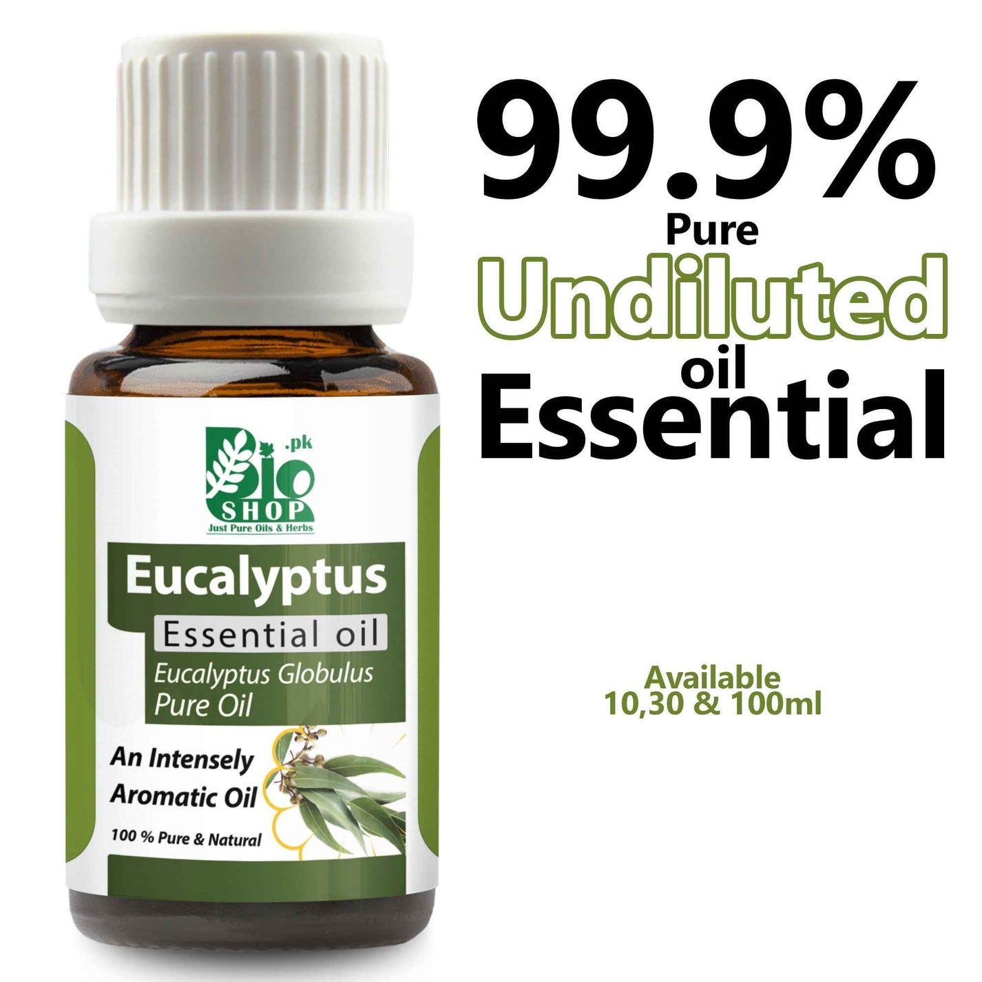 Eucalyptus Essential Oil – Fresh & Camphoraceous | Bio Shop™ Pakistan ...