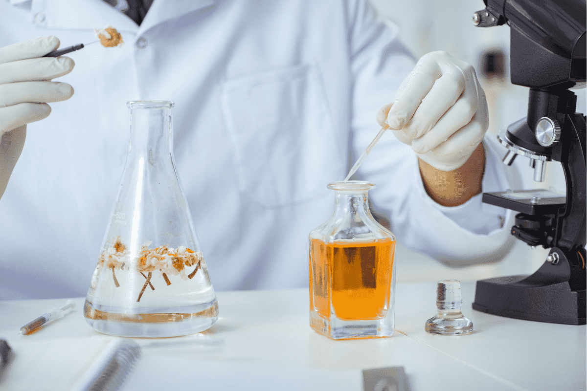 Bio Shopâ Pakistan â The Heart Of Diy Beauty And Perfumes â Bioshop